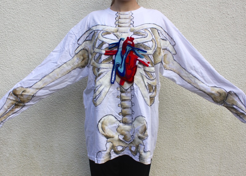 Human Body Activity Pack - Lydia Hopwood Illustration
