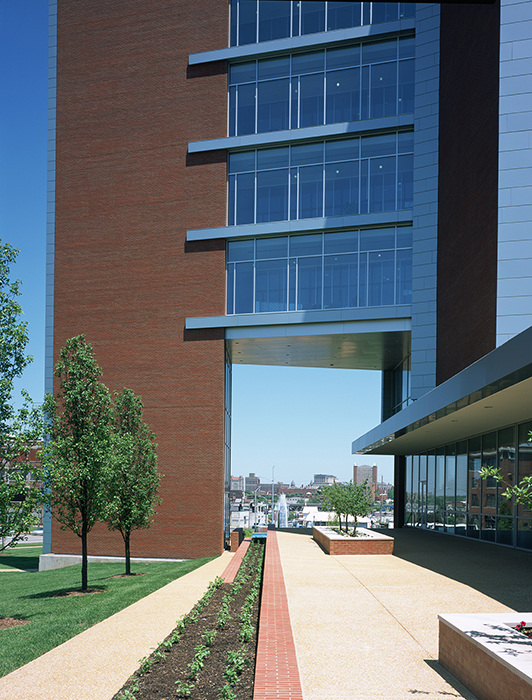 Edward A. Doisy Research Center - georgenikolajevich