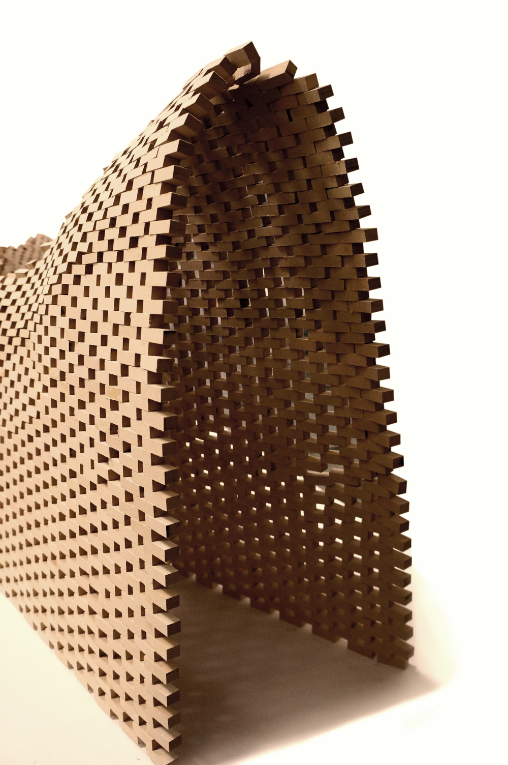 Catenary Vault - Andrea Mendoza