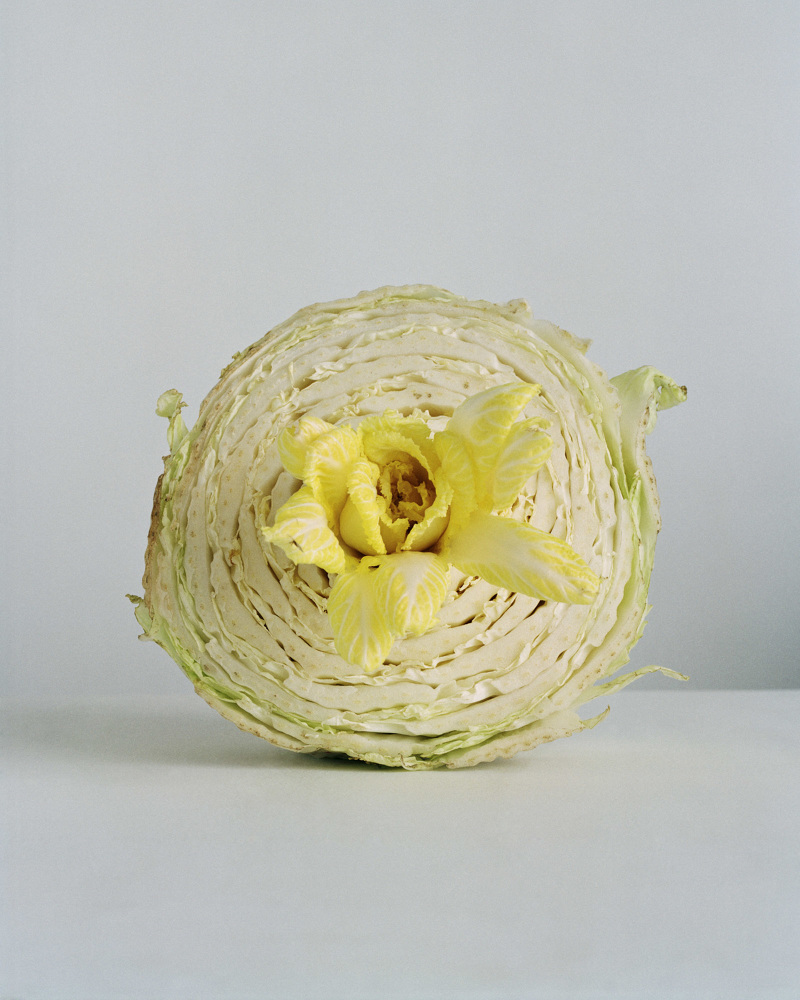 Short Sentences, 2011 - chihchienwang