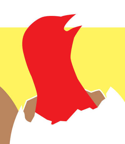 The Chicken Tax Thomas Schneider