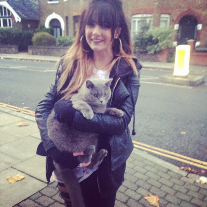 A struggle to survive - Lucy Francesca Hancock