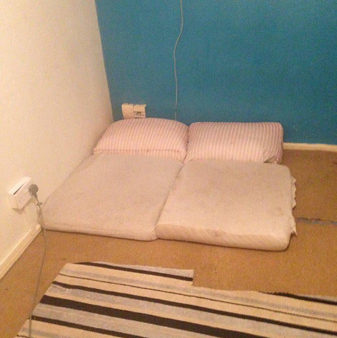 A struggle to survive - Lucy Francesca Hancock