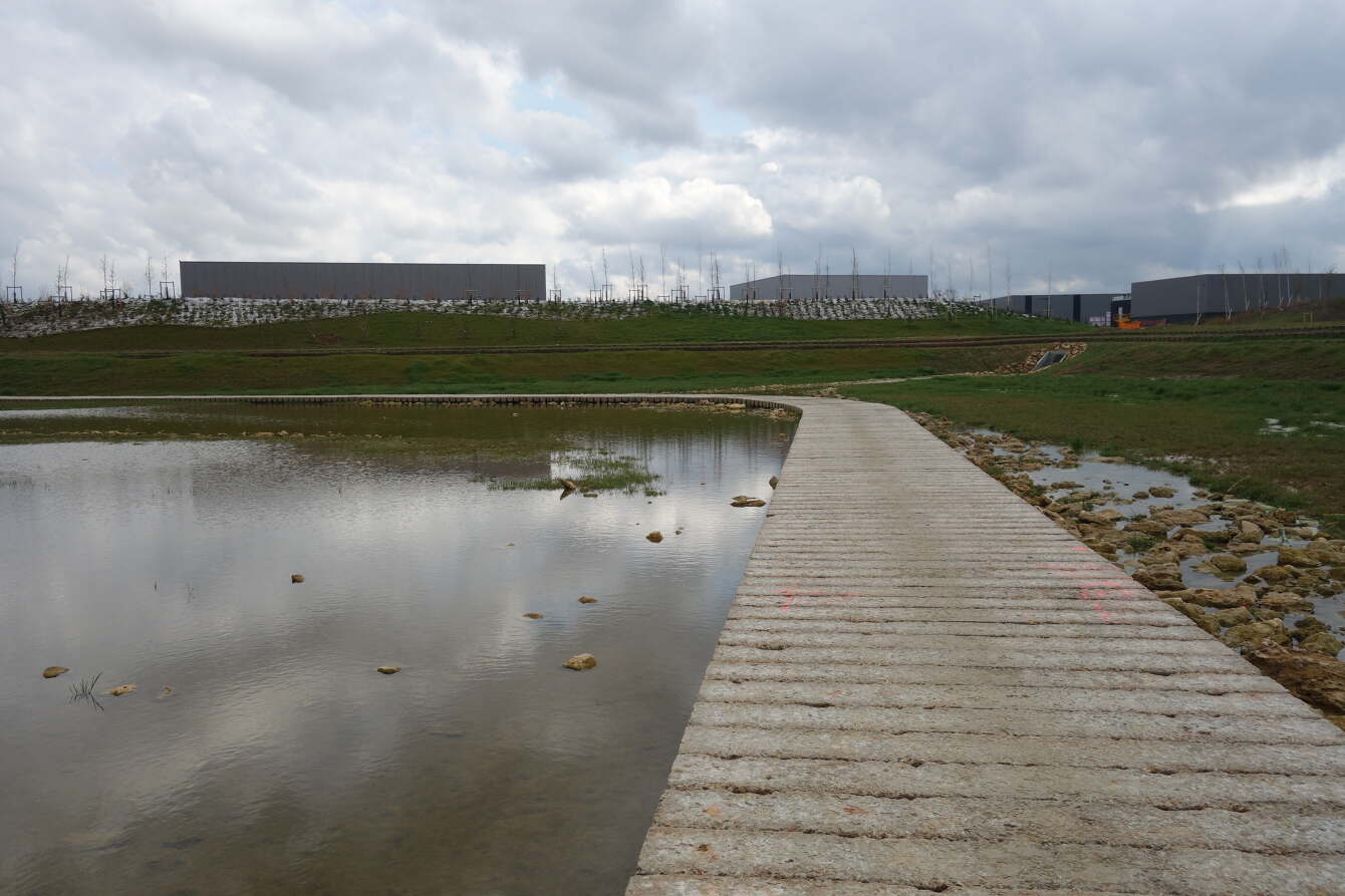 Le parc de Tigery (91) - emelinebrossard.paysagiste
