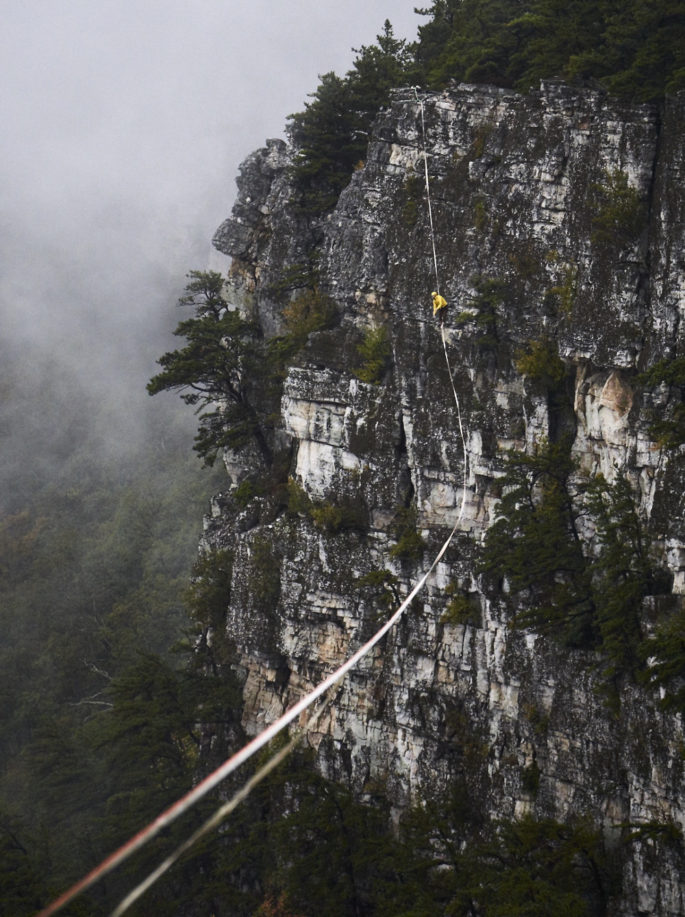 Highline Gathering (2016) - Philip H Queen