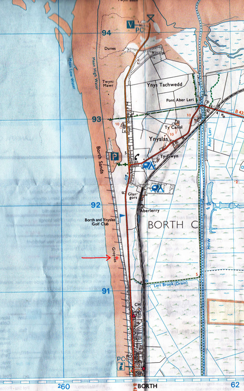 Tree - Robert Davies