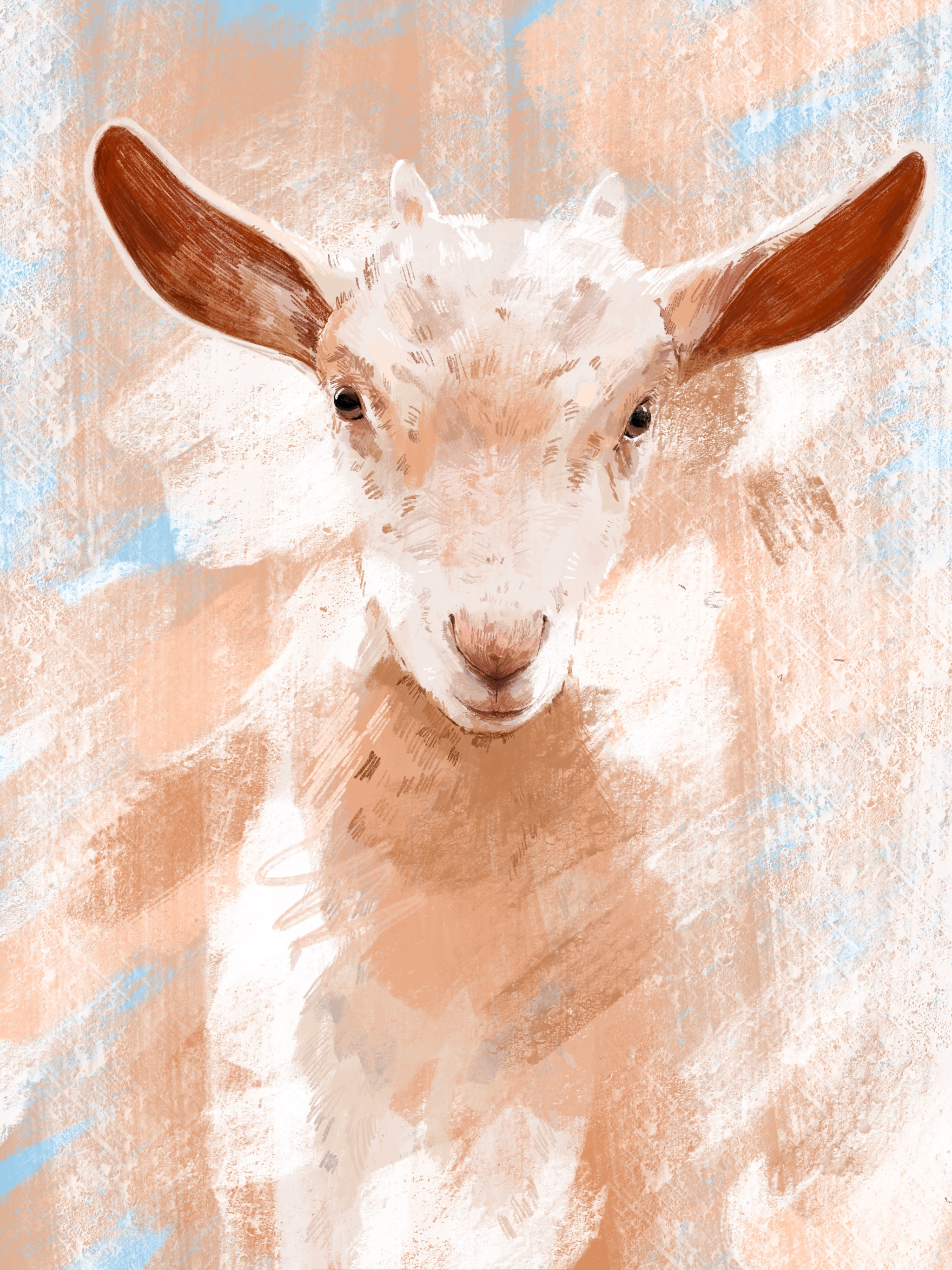 sunday drawing - saracfm