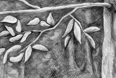 movement and spatial structure - k//m