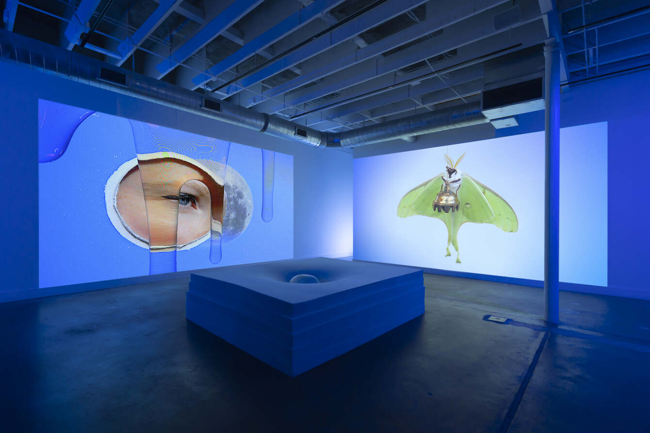 EYE MOON COCOON EXHIBITION - VLM (Virginia L. Montgomery)