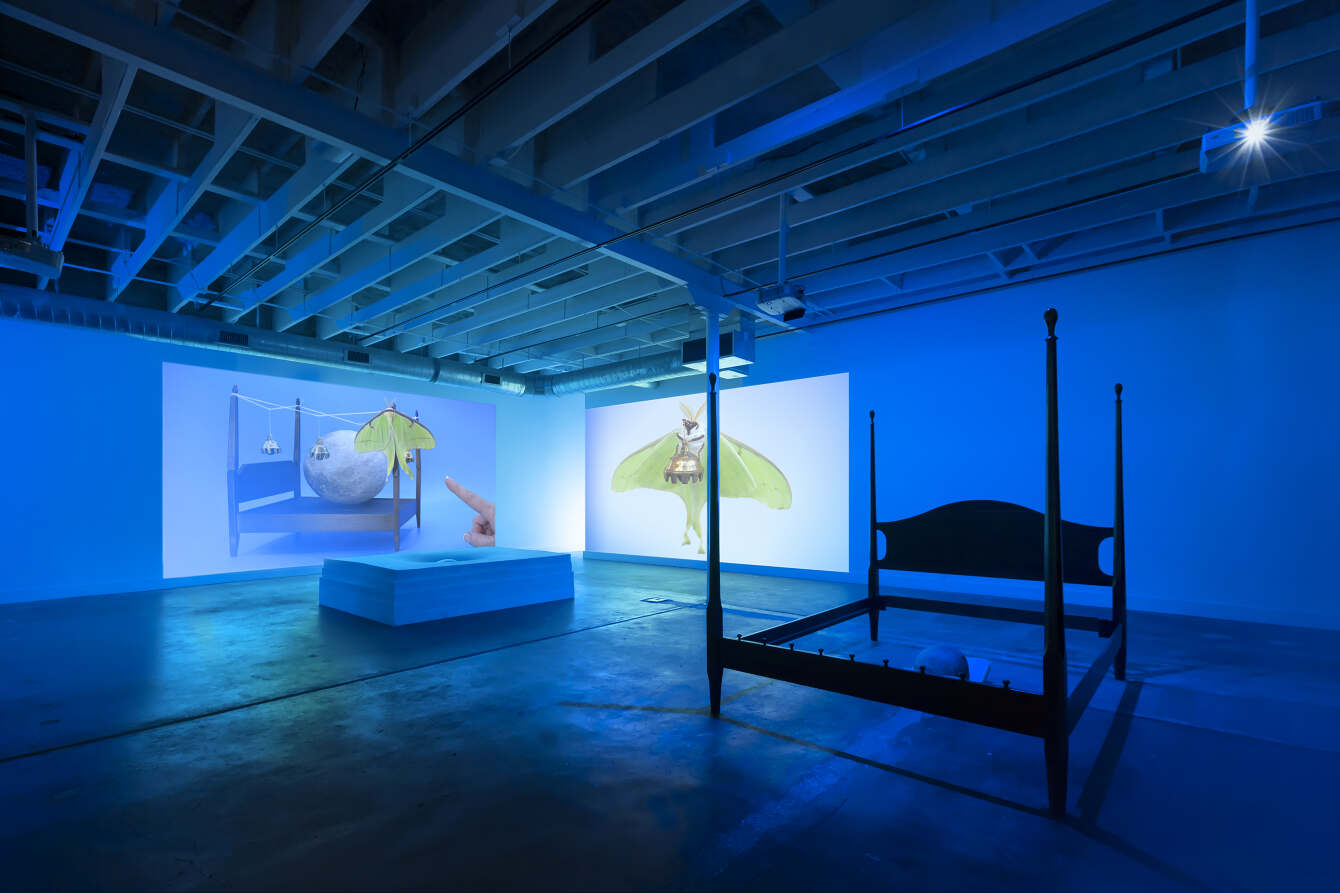 EYE MOON COCOON EXHIBITION - VLM (Virginia L. Montgomery)