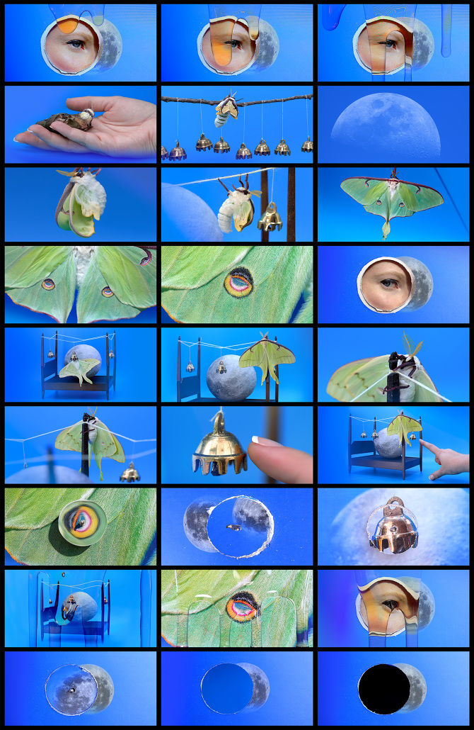 MOON MOTH BED - VLM (Virginia L. Montgomery)