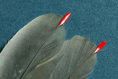 Detta Danford and Natasha Zielazinski - dettadanford.com