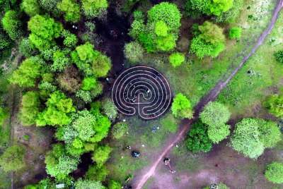 About - dettadanford.com