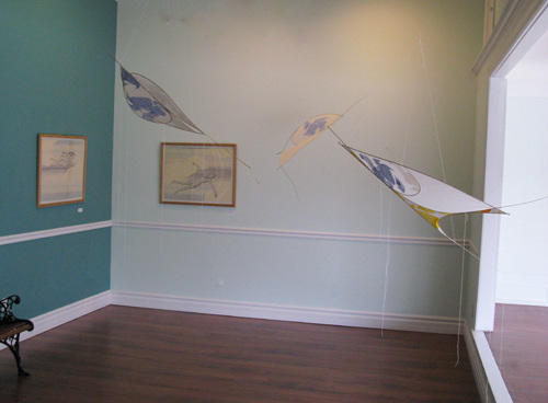 Daedalus' Wings - Luca Cruzat