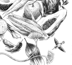 Anne-Hélène Dubray | Illustration