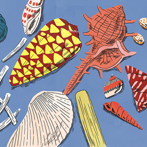 Anne-Hélène Dubray | Illustration