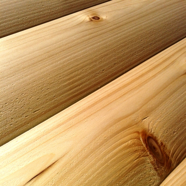 Building a Shed in London - Marion Abel