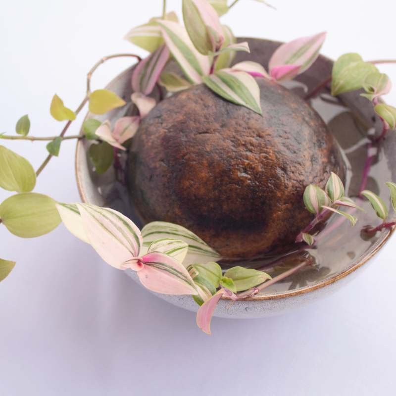 EMERSA - waterplants