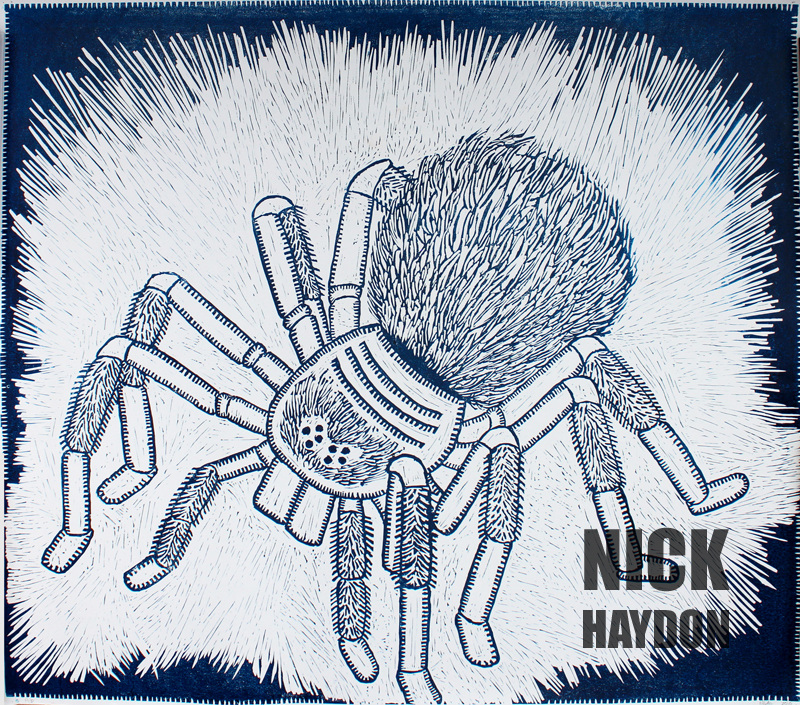 SPIDERS - Nick Haydon
