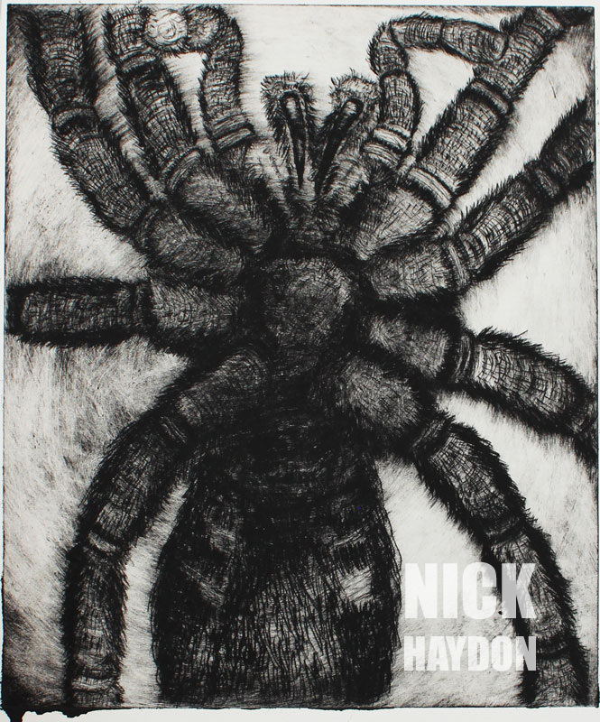 SPIDERS - Nick Haydon