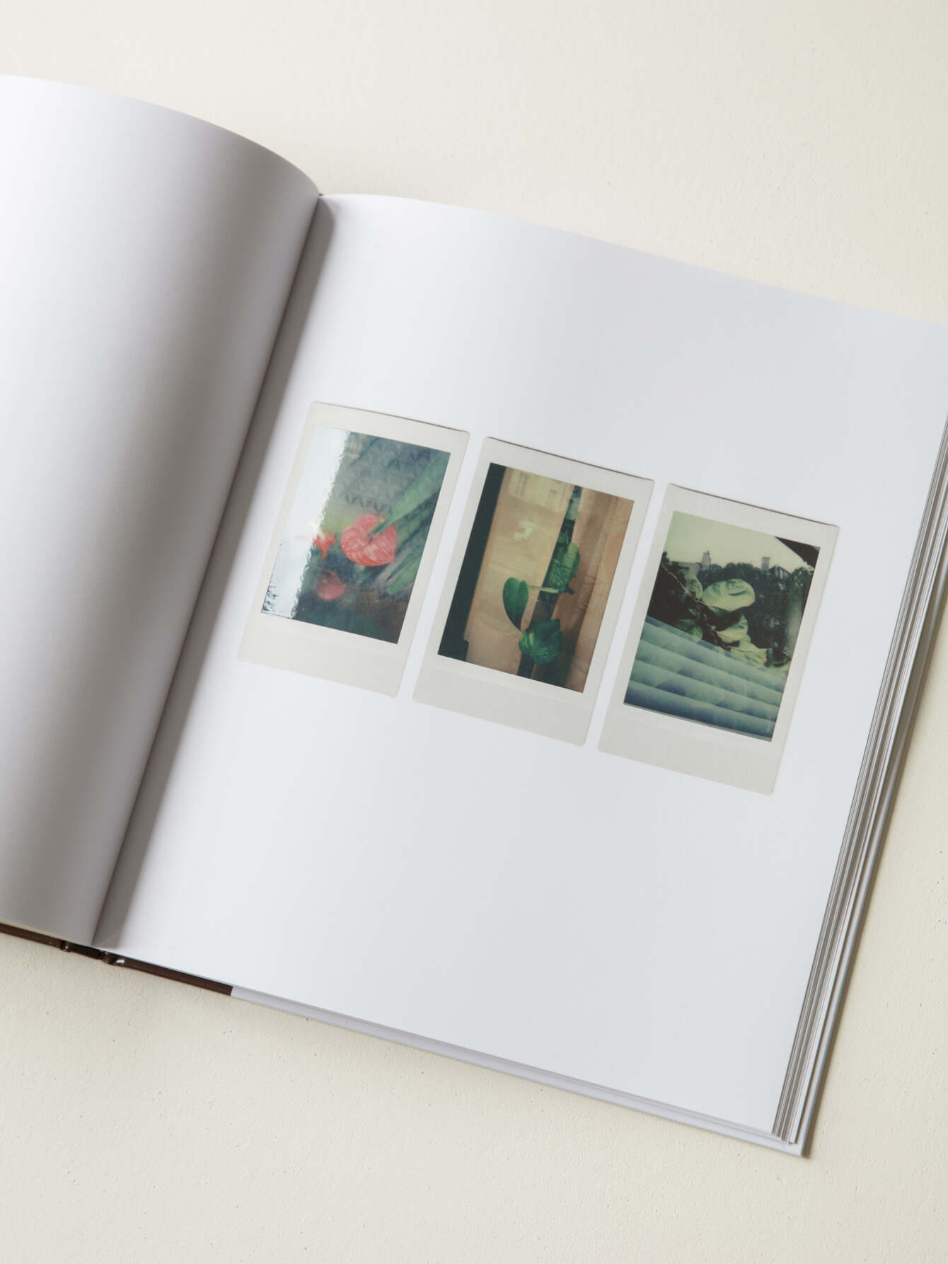 POLAROIDS BOOK - Romain Laprade - Photographer