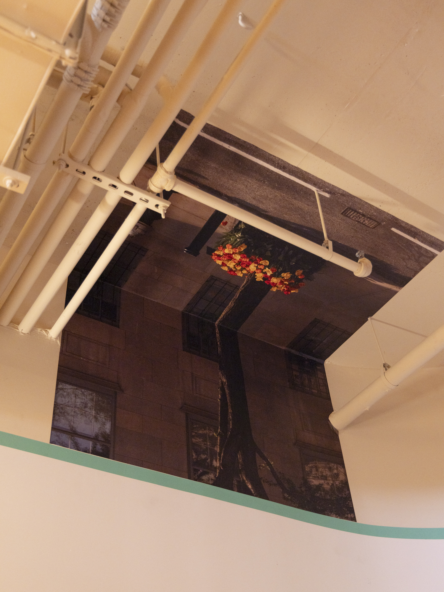 AESOP NEW YORK EXHIBITION - Romain Laprade - Photographer