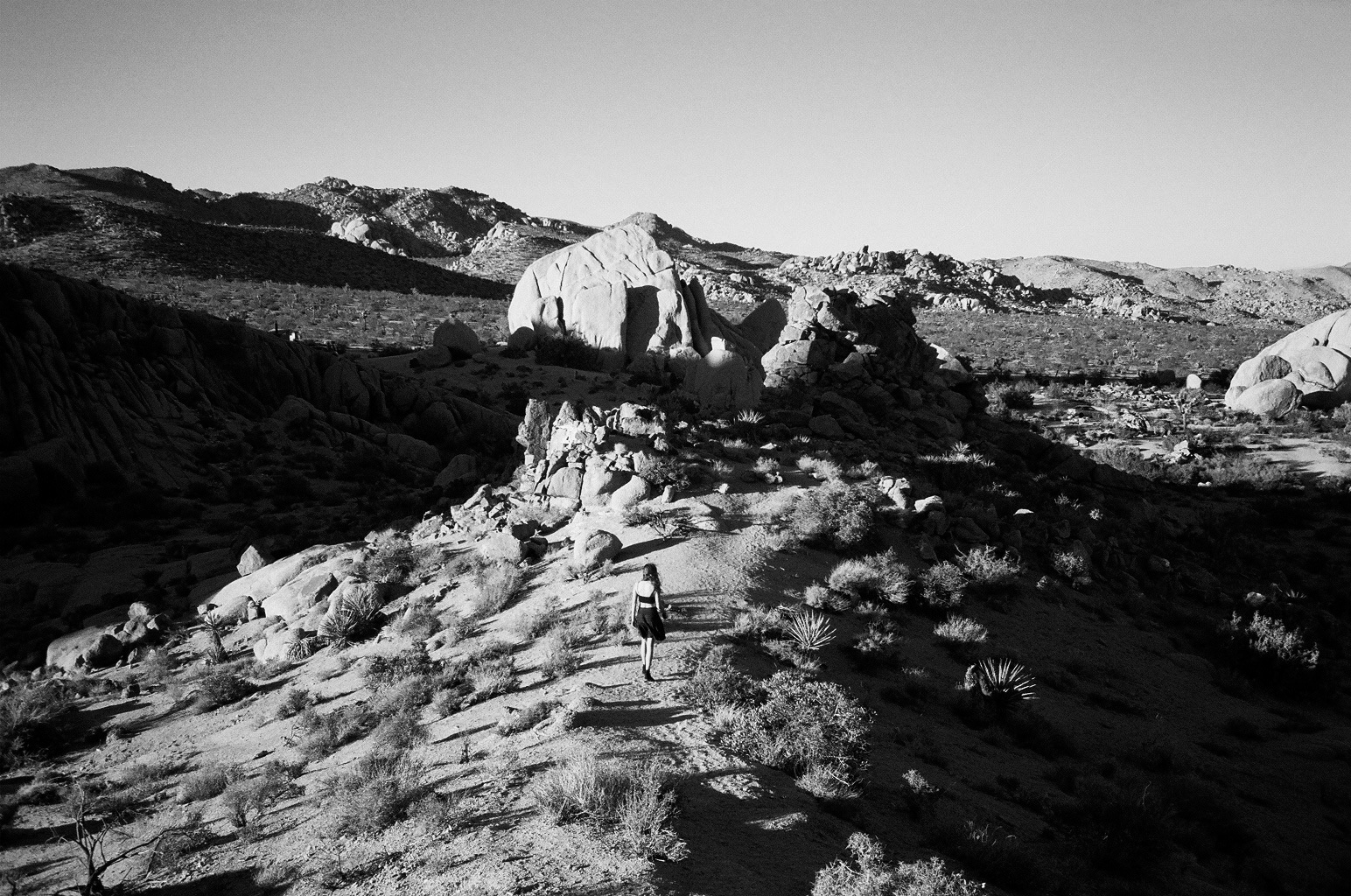 Native American Herbal Back Massage - ommroomspace