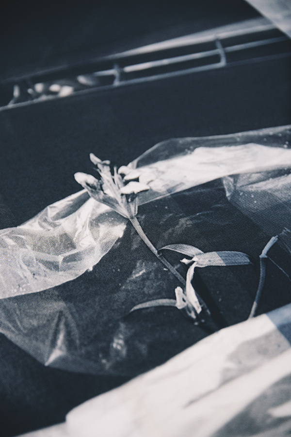 EN VENTA - Fran S. Mella