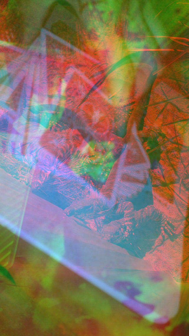 Digital Layering - Lilie Finley