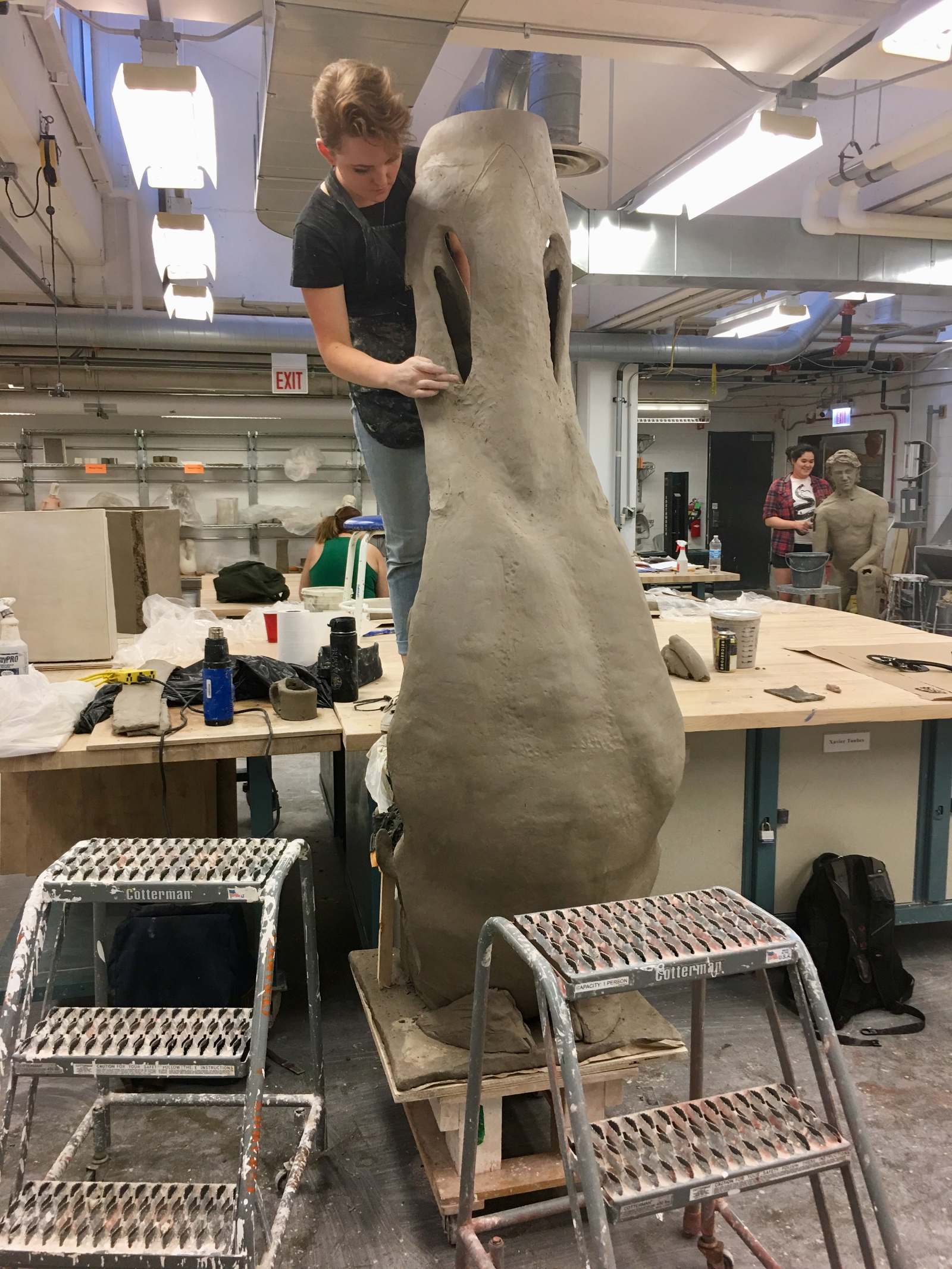 Condor Skull - Rachel Speakman