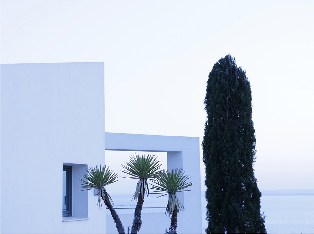 White architecture - carlacuencacortes