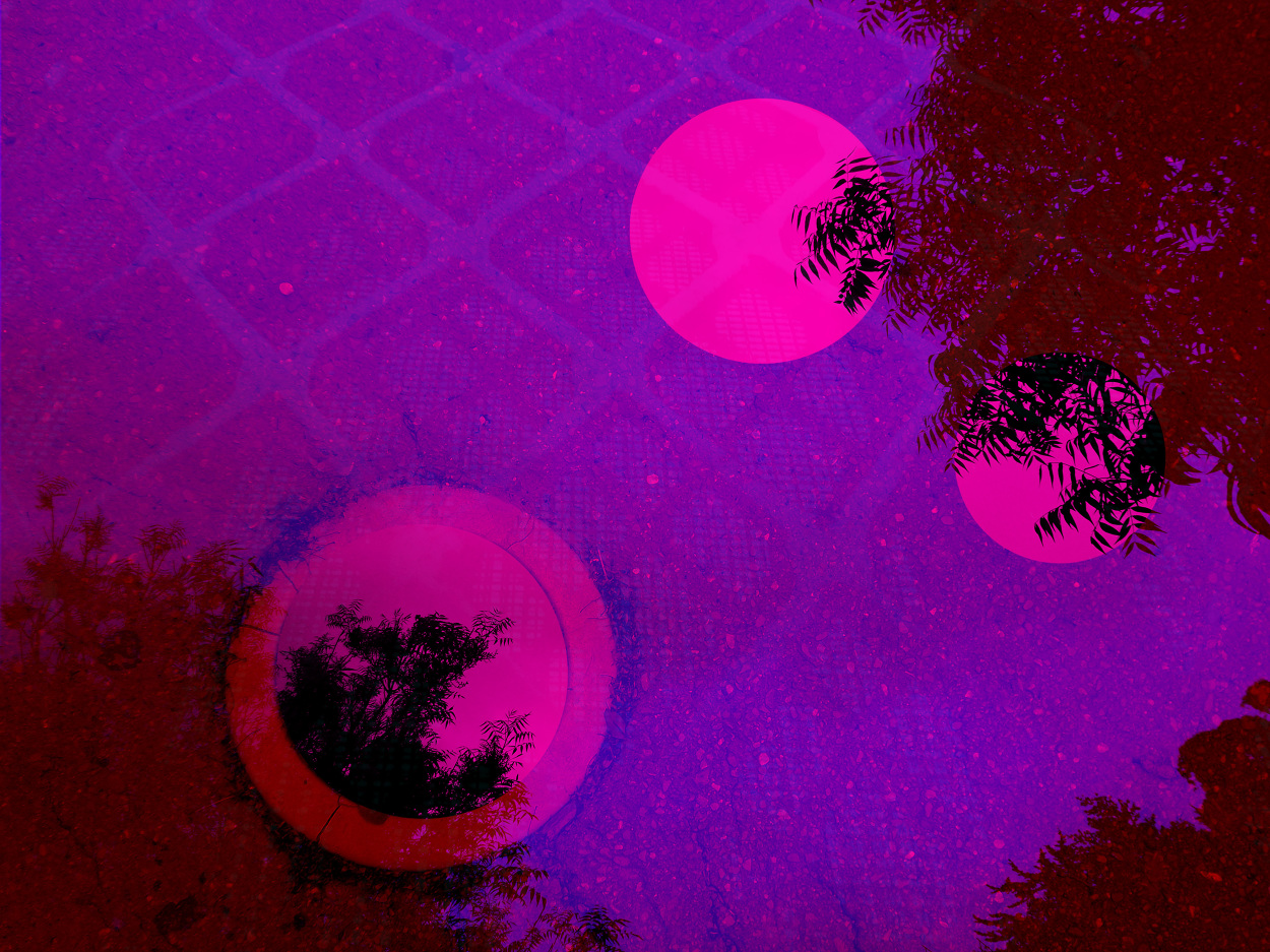 Digital Layering Project - Talyn Severson Artwork