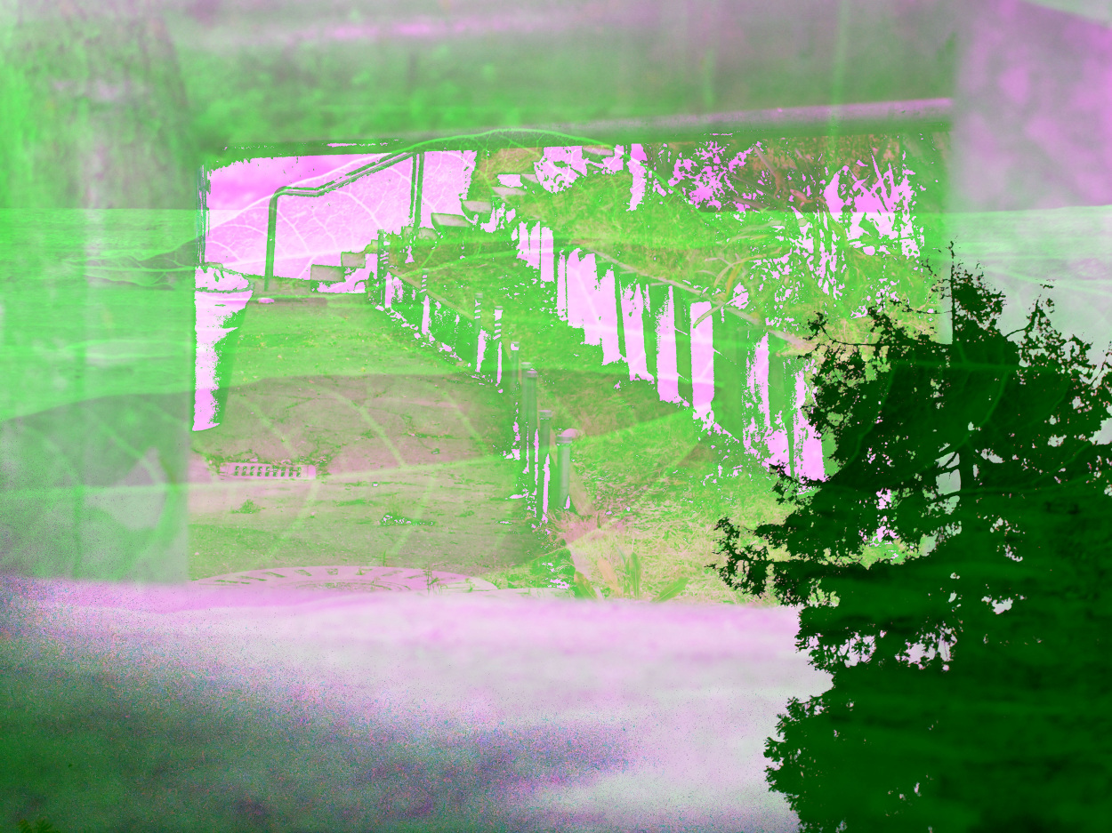 Digital Layering Project - Talyn Severson Artwork