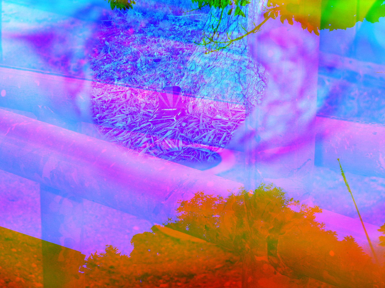 Digital Layering Project - Talyn Severson Artwork