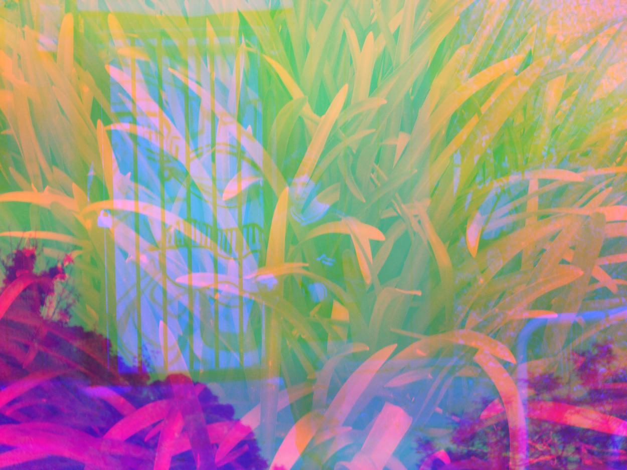 Digital Layering Project - Talyn Severson Artwork