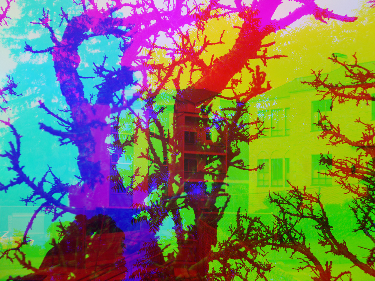 Digital Layering Project - Talyn Severson Artwork