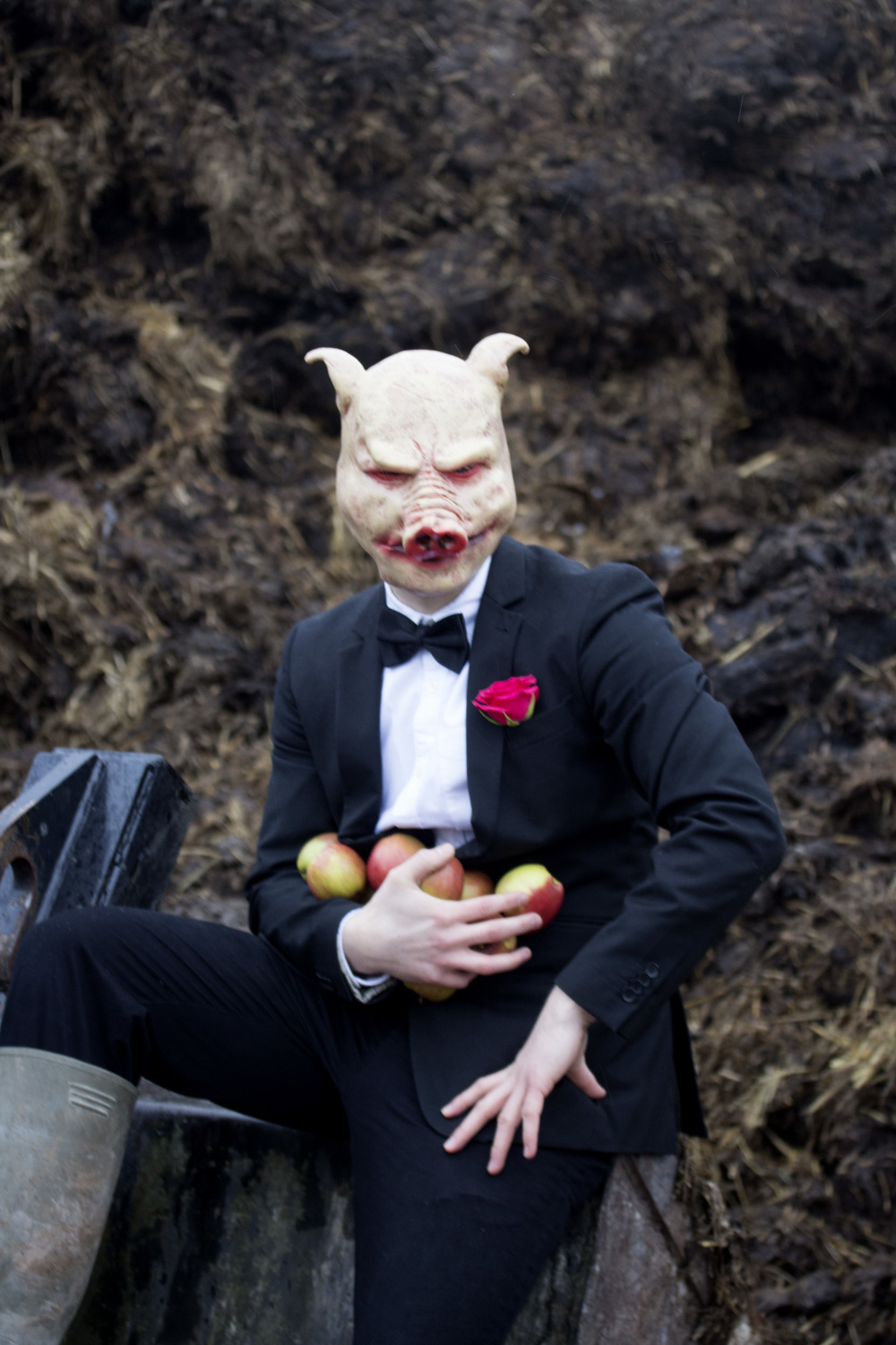 Orchard Pig Cider Grand National - Joshua J. M. Smith