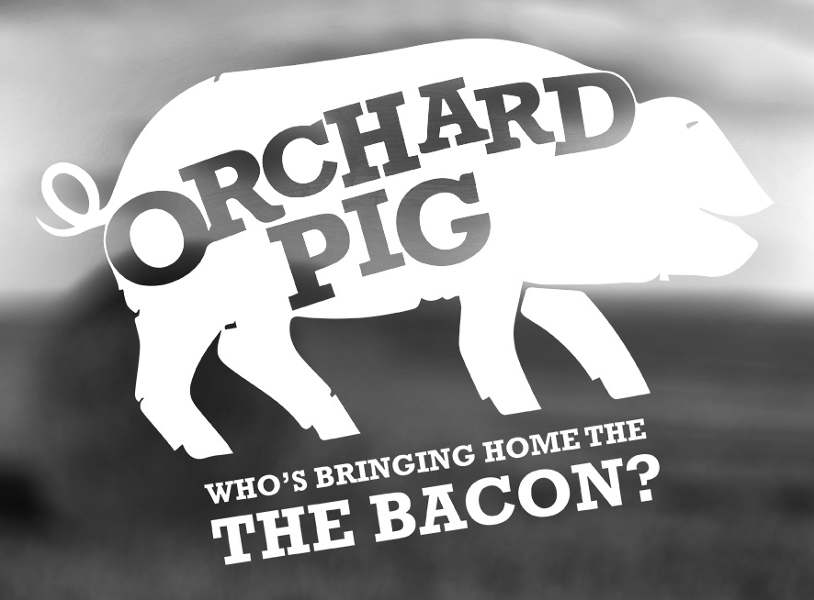 Orchard Pig Cider Grand National - Joshua J. M. Smith