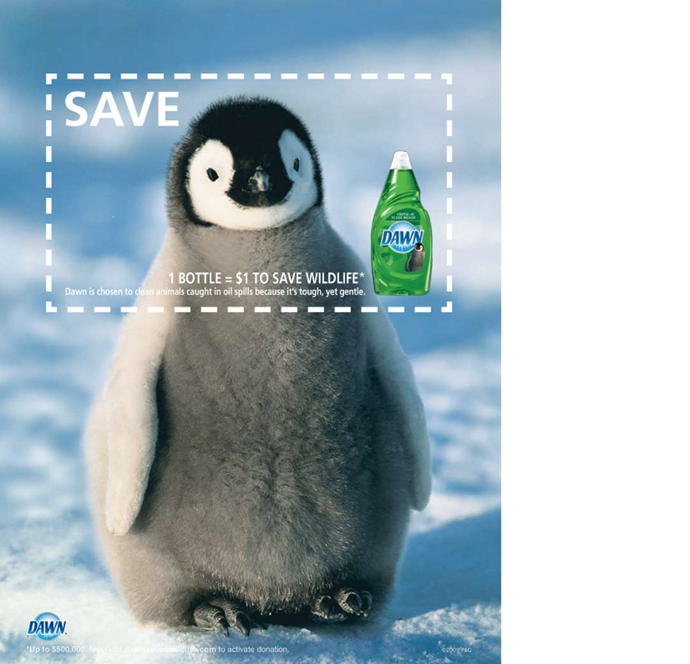 Dawn Saves Wildlife - Frank Bele/Creative Director