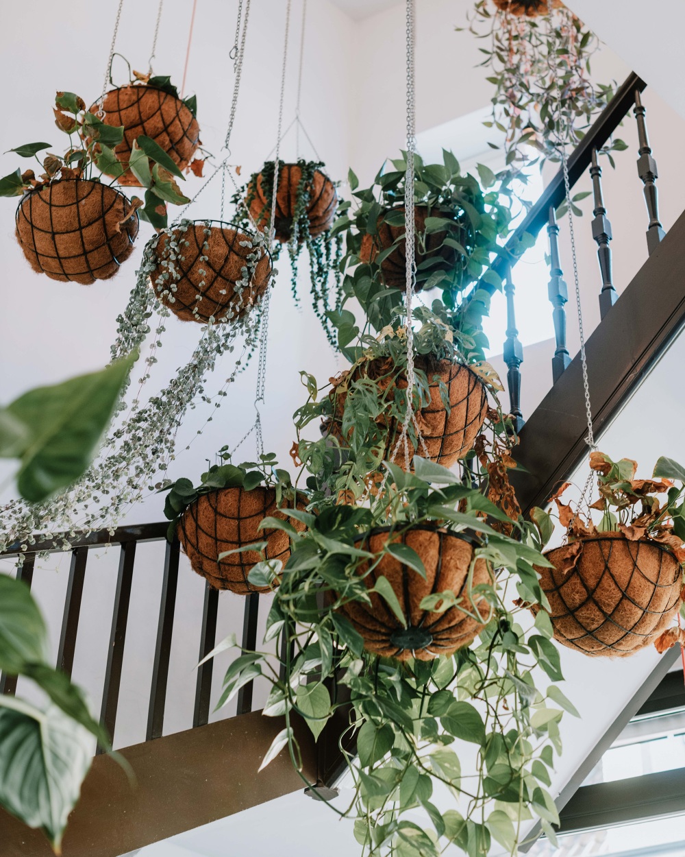 Branding // Café Labath - Sarahshoot - Fotografie