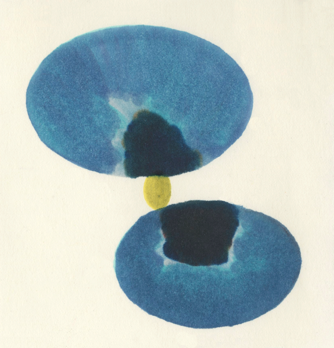 ☯☯☯☯☯ - Saehan Parc