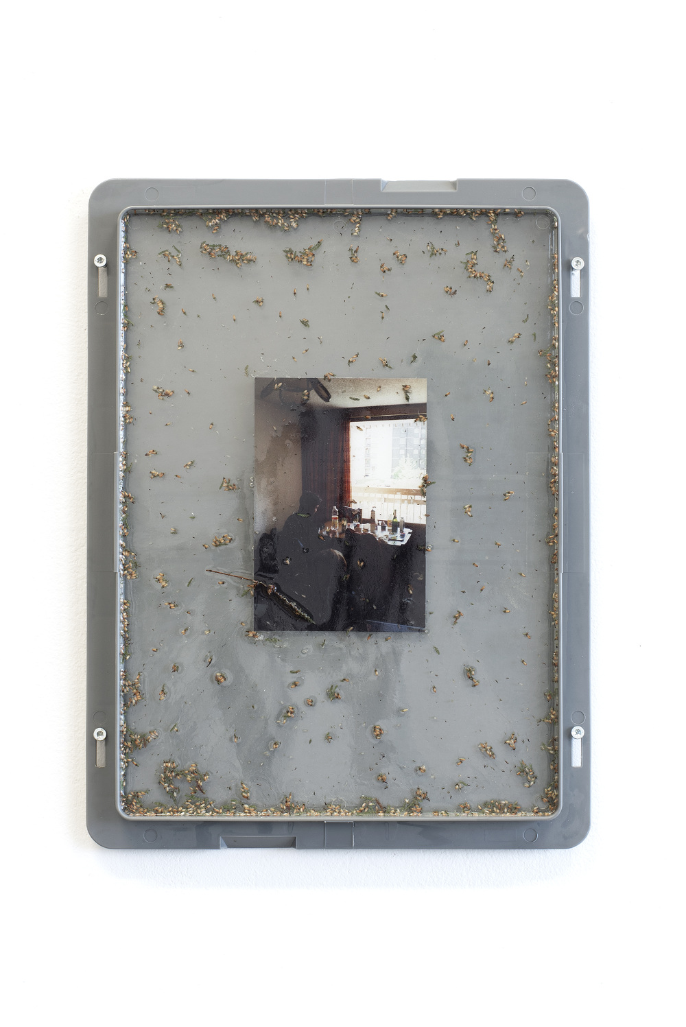 Whatever works - Kevin Malcolm