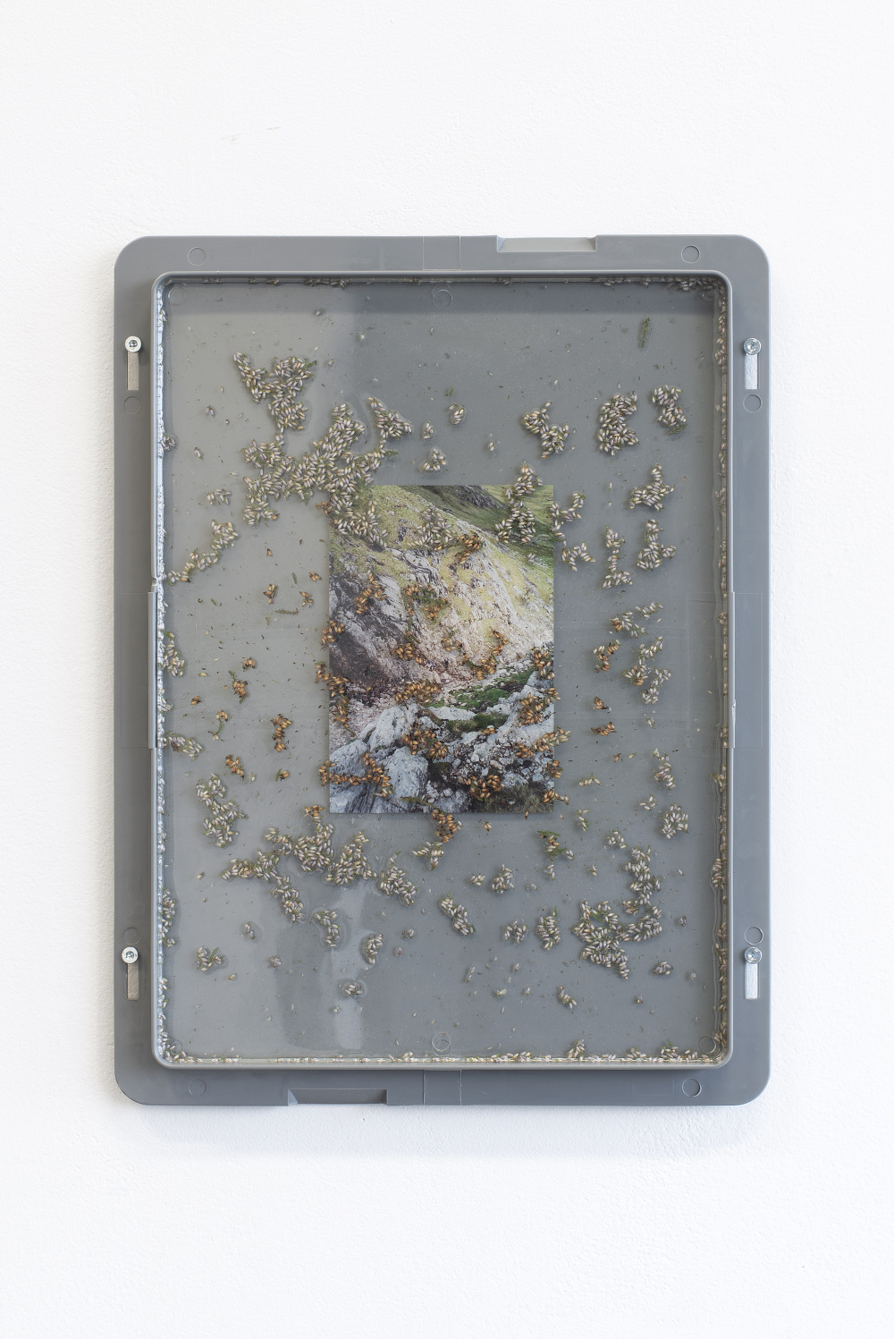 Whatever works - Kevin Malcolm