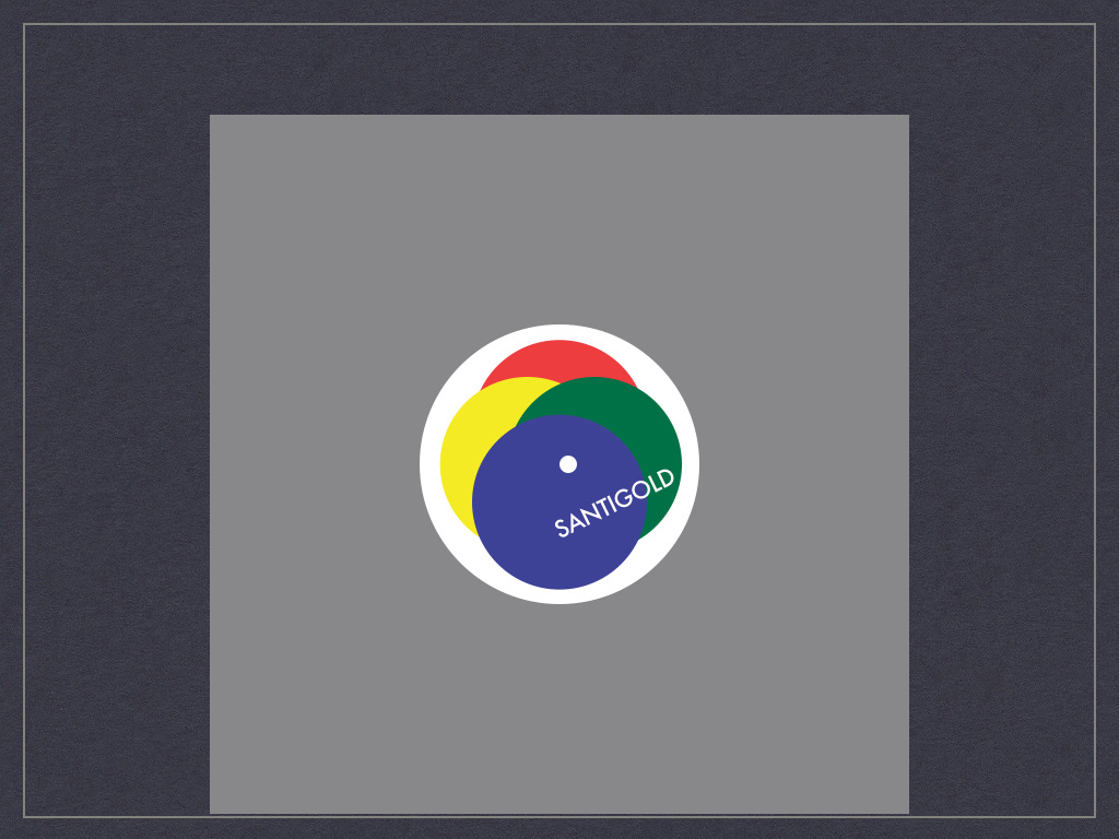 Santigold Album Cover - P S Creative