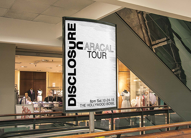 Disclosure Caracal Tour Posters - D Den