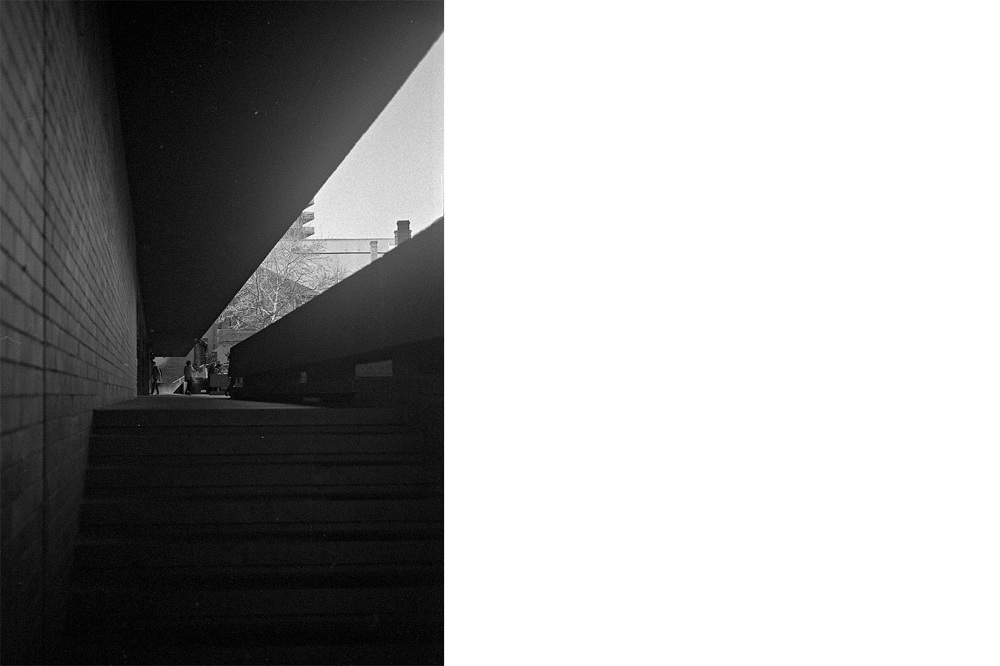 UTS Building - Gina Secchi