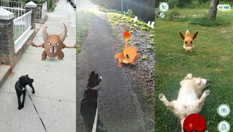 Pokemon Go Walkies - Lucy Green Creative