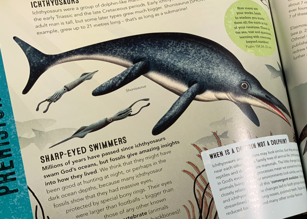 God Made The Dinosaurs - Jesús Sotés Vicente