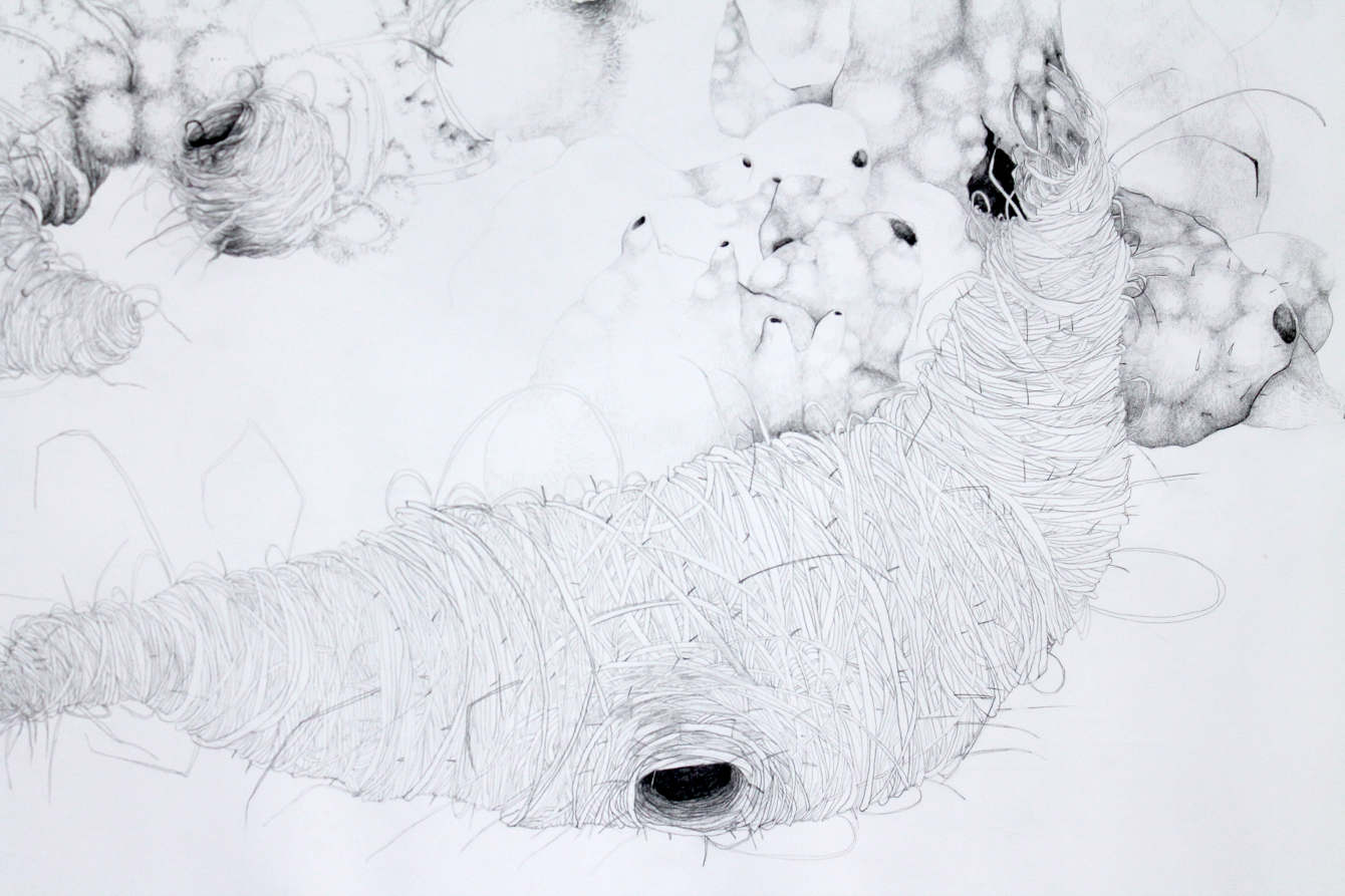 Les constructibles - juliadreiski