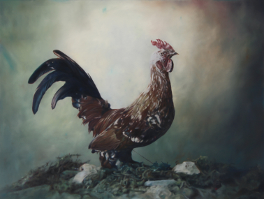 Le coq est mort - Francisco Sierra